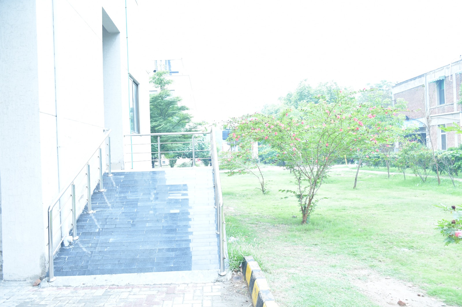 University of Agriculture, Faisalabad, Pakistan -> Directorate of ...